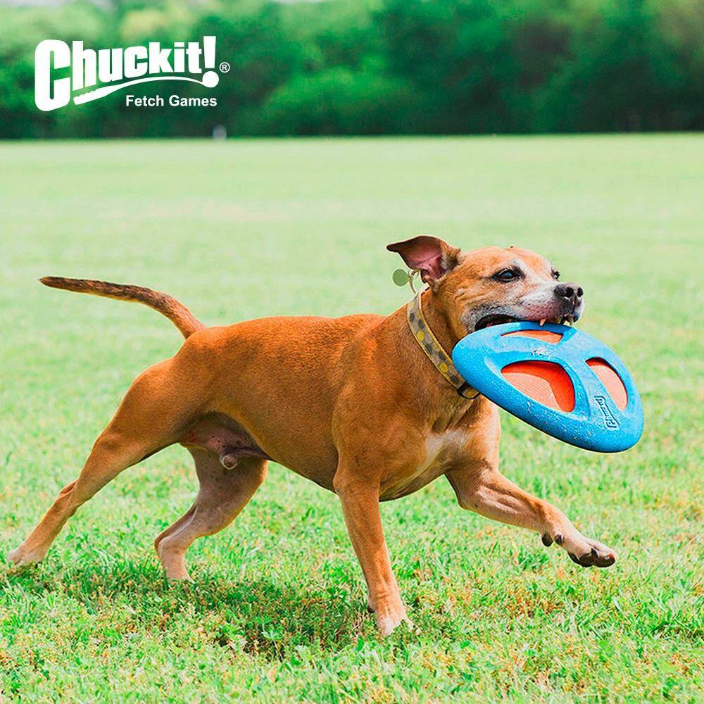 Купити Фризбі для собак Chuckit! Fetch Flight Frisbee іграшка у формі м ...